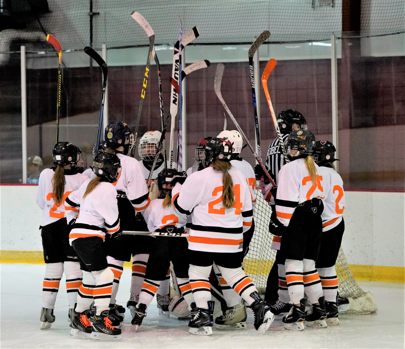 Over 70 Teams to Arrive for Annual Girls Hockey Tournament - Erie ...